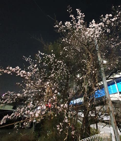 메이플스토리 인벤 어빌 질문 메이플스토리 인벤 궁수 직업게시판