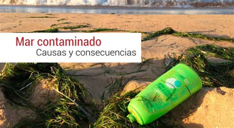 Contaminación Secundaria Tipos Y Ejemplos Para Tomar En Cuenta