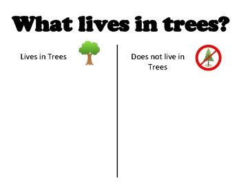 What Lives In A Tree Worksheet By Shannon Bradburn TPT