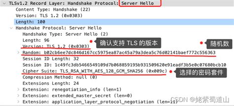 原理 rsa密钥协商算法 ssl协商密钥 csdn博客