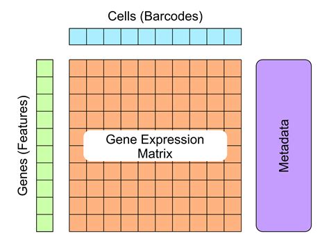Slides Single Cell Formats And Resources Single Cell Formats And