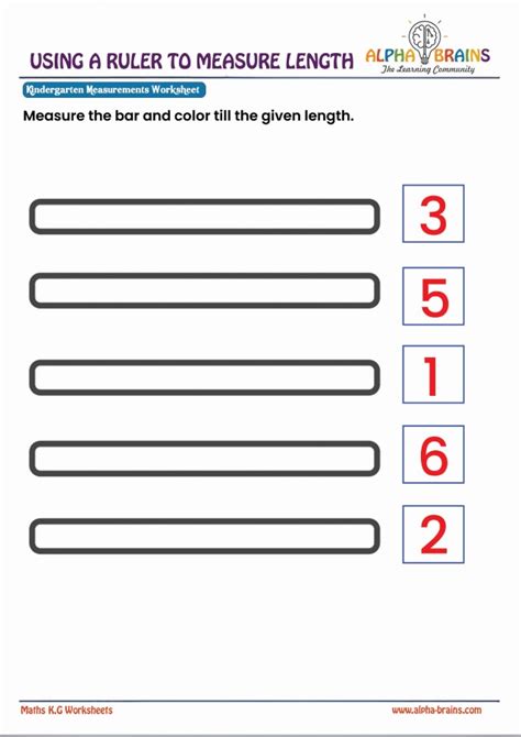 Measurement Color The Lengths Alpha Brains