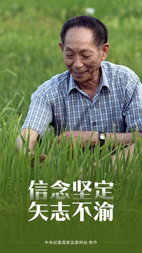 海报丨这就是对袁隆平最好的纪念 中央纪委 袁隆平 新浪新闻
