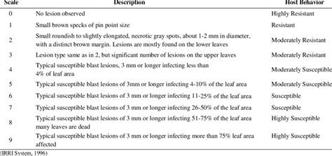 Rice Leaf Blast Disease Rating Scale Download Table