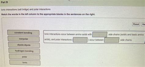 Solved Part B Ionic Interactions Salt Bridge And Polar