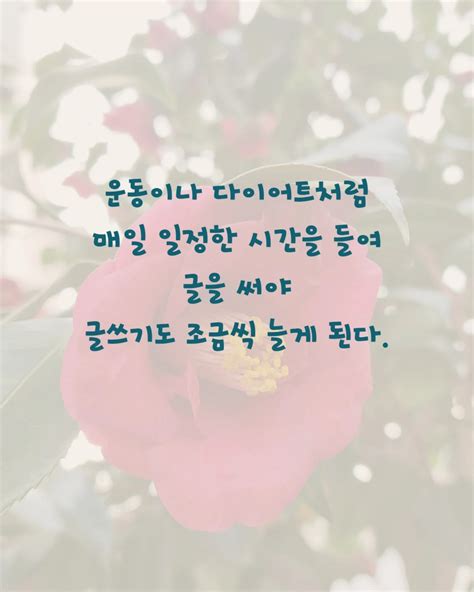 가을웅덩이 시인 시에세이책글방 글쓰기 전자책 🍁🍁🍁 브런치 스토리에 매주 토요일마다 연재글을 쓰고 있어요😍