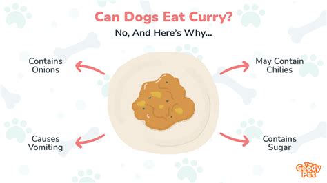 Are Any Spices Good For Dogs