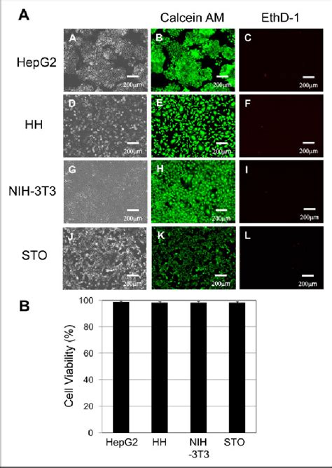 Cell Viability Of Livingdead Cells In The Human And Mammalian Cells Download Scientific