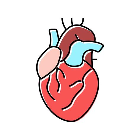 Heart Human Organ Color Icon Vector Illustration 19573967 Vector Art At