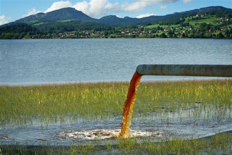The Main Causes Of Water Pollution Green Coast