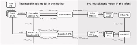 Population Pharmacokinetic Modelling Of Primaquine Exposures In