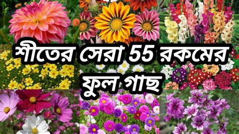 শীতের সেরা 55 রকমের ফুল গাছ🌷winter Flowers Plants💐শীতকালীন বাগানে