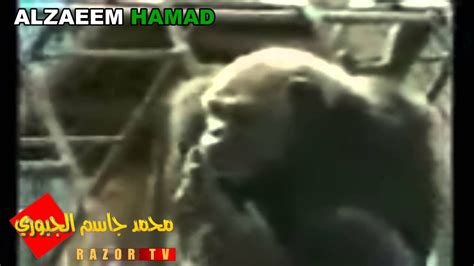 شبه مجنون ليلة صرت ~ سعدي الحلي Youtube