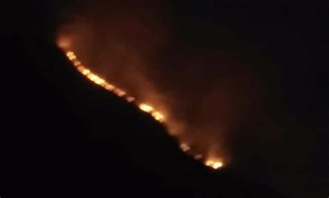 Continúa activo incendio forestal en Ayautla CEPCO