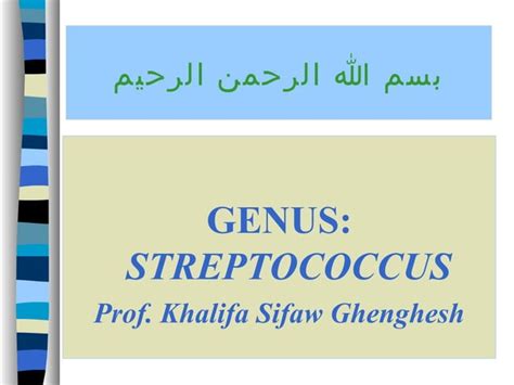 Lecture 3 Streptococcus Pyogenes Ppt Ear Nose And Throat Conditions Diseases And Conditions