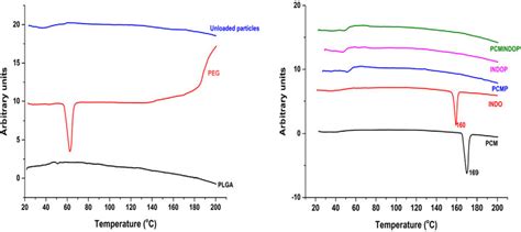Dsc Thermograms Of Plga 5050 Peg Unloaded Particles S1 Download Scientific Diagram