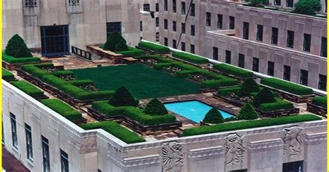 مشروع زراعة أسطح المنازل بالتفصيل وتحديد التكلفة والربح Roof Garden
