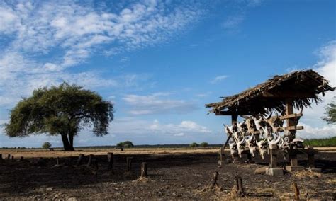 Mengintip Pesona Taman Nasional Baluran Di Situbondo