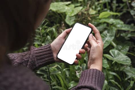 Mockup Image Of Closeup Woman Hand Holding Mobile Phone With Blank