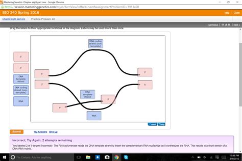 Solved Identify The The Following Elements On A Diagram O Chegg