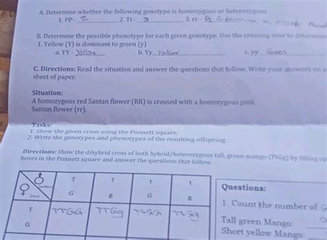 A Determine Whether The Following Genotype Is StudyX