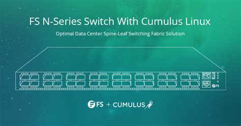 Everything You Should Know About Cumulus Linux