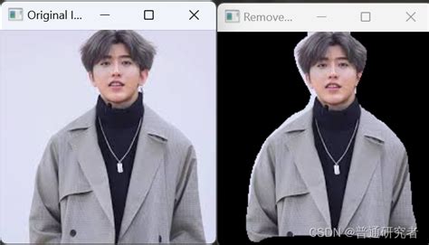 Opencv 利用deeplabv3模型进行图像分割去除输入图像的背景opencv背景去除 Csdn博客
