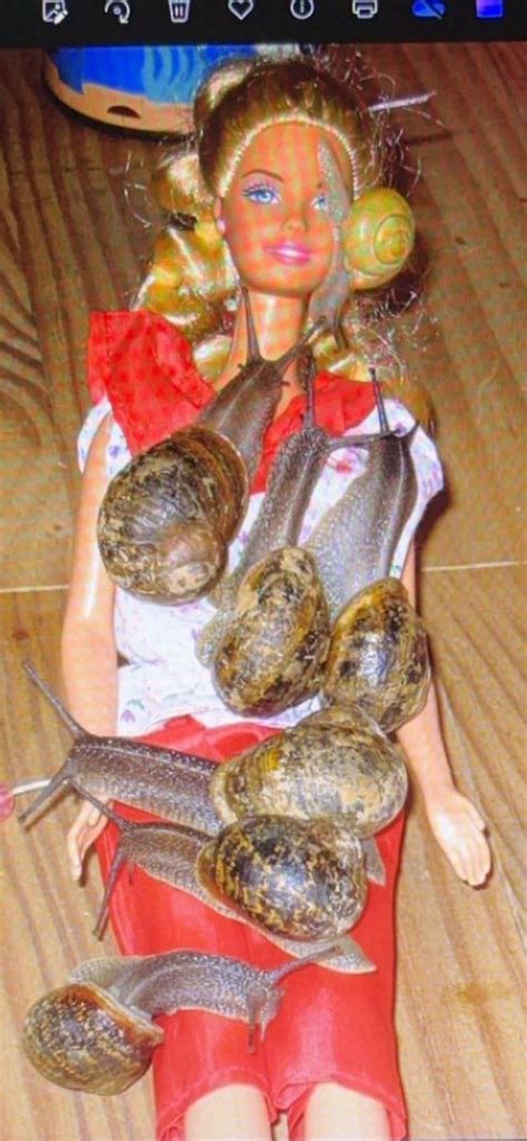 Cursedbarbie Rcursedimages