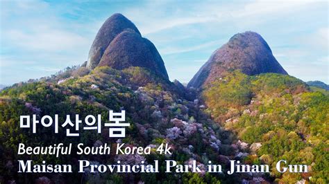 산벚꽃 만개한 마이산4k드론영상 한국100대명산 진안여행 마이산도립공원 Maisan Provincial Park