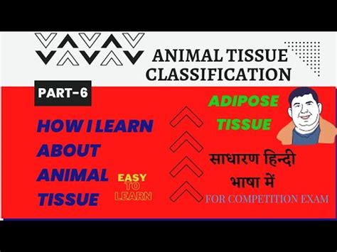 Adipocyte Some Important Point About Adipose Tissue Ncert Study Mppatwari Neet