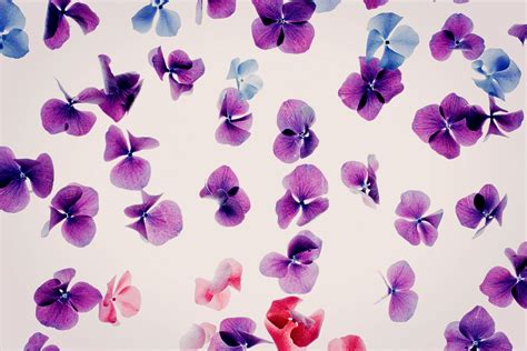Feminine Desktop Wallpapers Top Free Feminine Desktop Backgrounds