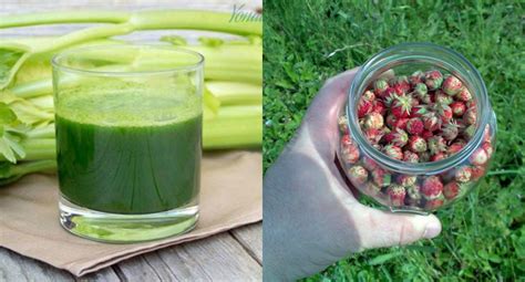 ორგანიზმის გამწმენდი საუკეთესო ხალხური საშუალებები სასარგებლო რჩევები