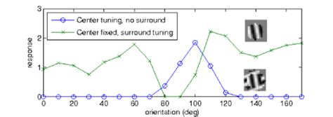 Orientation Tuning Of Surround Suppression Download Scientific Diagram