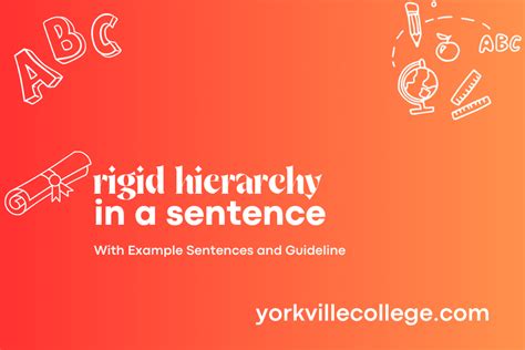 how to use rigid hierarchy in a sentence easy examples
