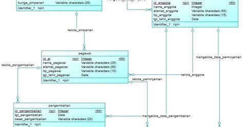 Mia Maula Cdm Dan Pdm Koperasi