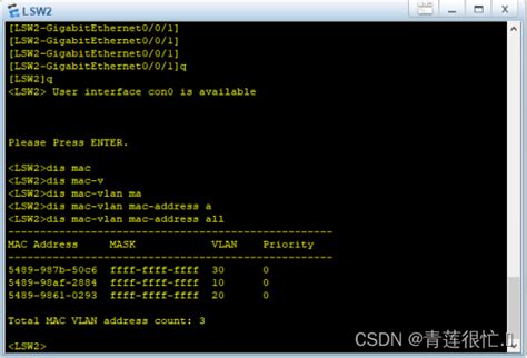 Vlan Vlan Csdn
