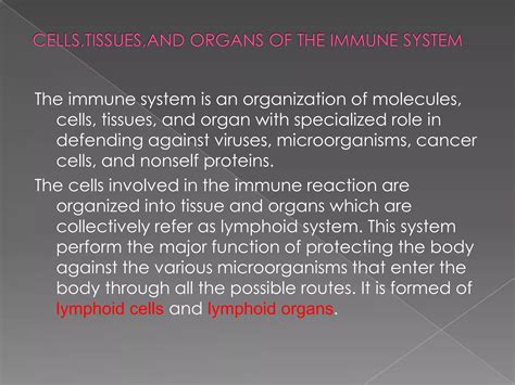 Cells Of Immune System Pptx