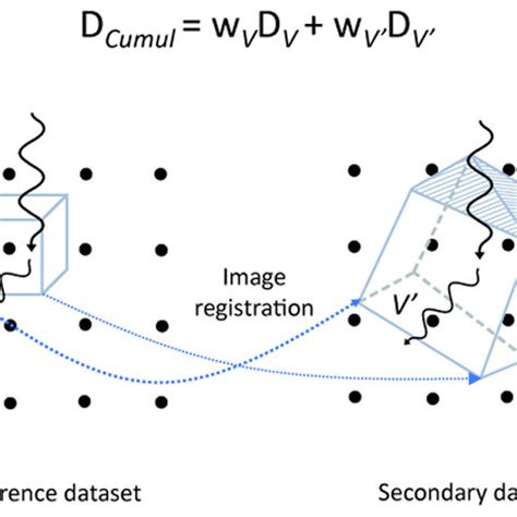 Direct Voxel Tracking Method W Weights For Each Breathing Phase D