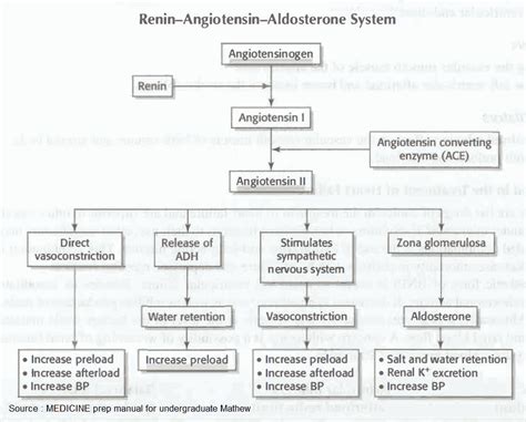 Inhibitors Of The Renin Angiotensin Aldosteron System Manual Of Medicine