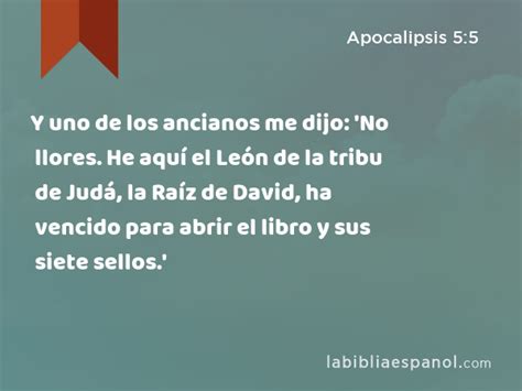 Apocalipsis 5 5 Y uno de los ancianos me dijo No llores He aquí el