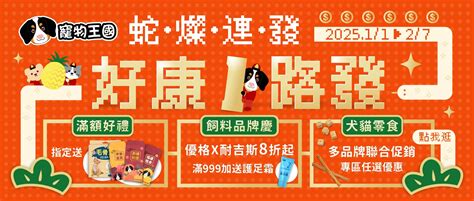 美國夫妻暖心救援流浪貓！ 送動保組織才知「驚人身分」 單眼皮漂漂 鍵盤大檸檬 Ettoday新聞雲