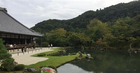 Kioto Parque de los Monos de Arashiyama Bosque de Bambú y Templos