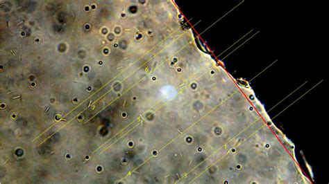 Figure S9 Schematic For How The Particle Orientation Was Determined Download Scientific