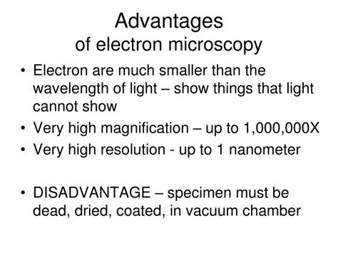 Ppt Honors Biology Microscopes Powerpoint Presentation Id5777026