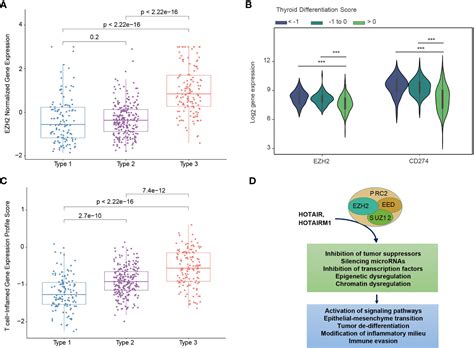Frontiers A Clinically Useful And Biologically Informative Genomic