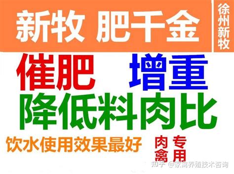 肉鹅什么时候能催肥？鹅后期催肥吃什么料？鹅催肥有效的办法？大鹅怎么催肥？鹅催肥期是多少天？鹅在什么时候育肥好？鹅出栏前用什么可以催肥？鹅催肥的