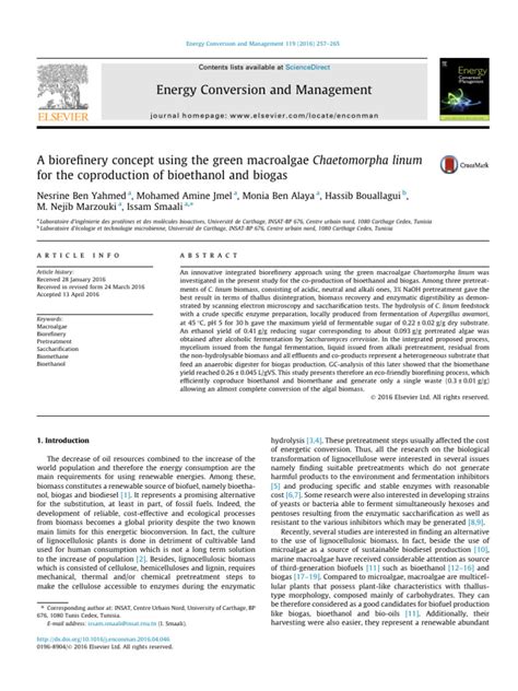 A Biorefinery Concept Using The Green Macroalgae Pdf Biorefinery