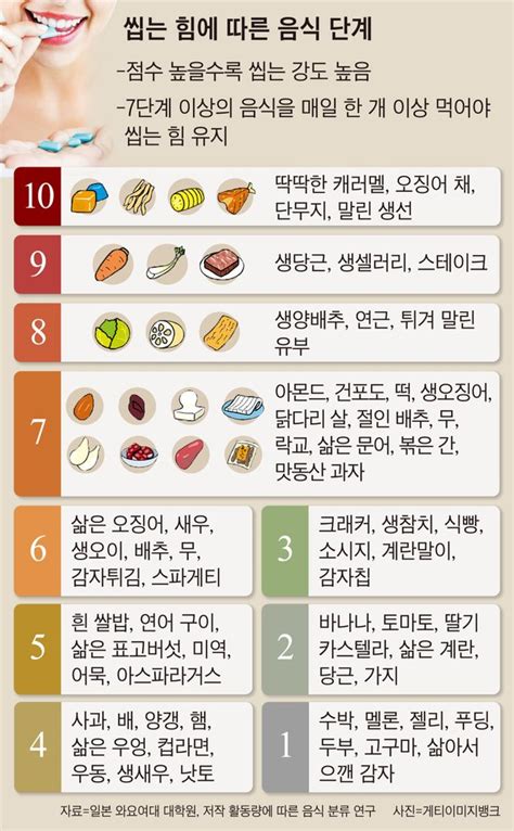 잘 씹는자가 잘 산다…씹는 힘 키우려면 이 음식 먹어라 네이트 뉴스