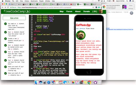 Freecodecamp Challenge Guide Nest An Anchor Element Within A Paragraph