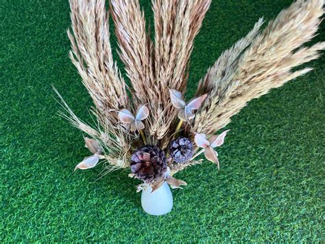 Buy Dried Pampas Grass And Pinecones Bloomybliss